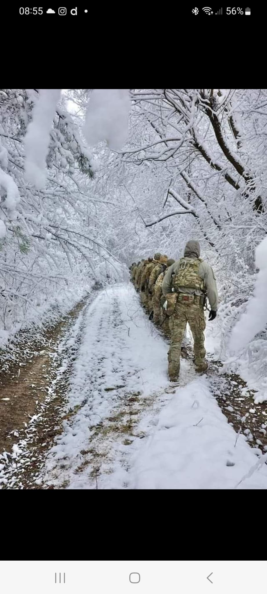 childscarefoundation.nl